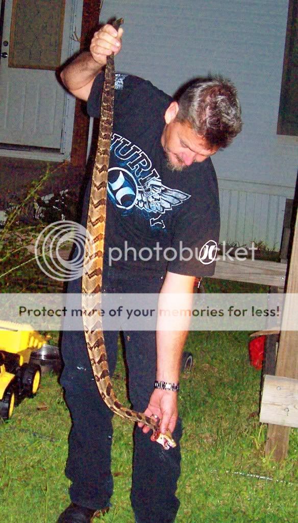 Knife Hunting, snakes............ | Page 3 | Bushcraft USA Forums