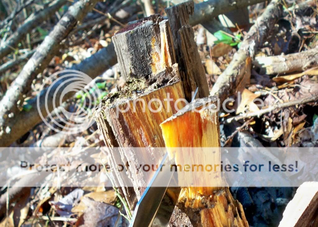 BASIC LIST / SUGGESTED ITEMS FOR LONG TERM SURVIVAL - Page 57